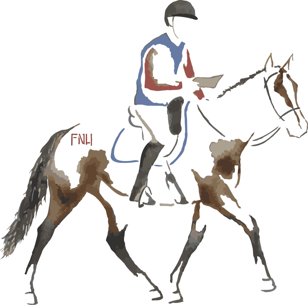 Trec - Federación Navarra de Hípica